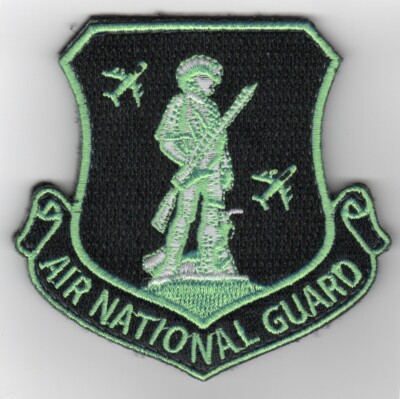 USAF AIR FORCE NATIONAL GUARD CREST NEON HOOK LOOP EMBROIDERED JACKET ...