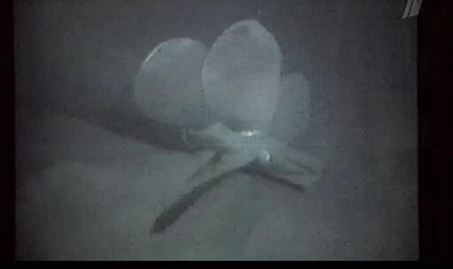 1/350 Mike class SSN submarine 2 x tandem-rotating propeller set Mikro ...