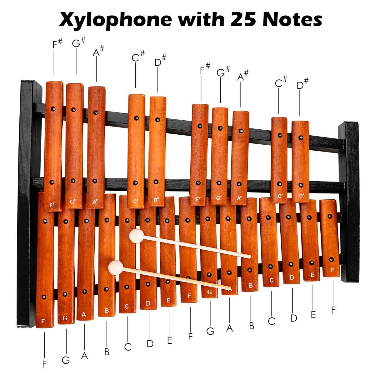 Percussion Instruments Xylophone