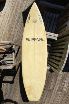 SURFIVAL Carlson Surfboard. Waterman’s Guild Glassing Thruster 3 Fins ...