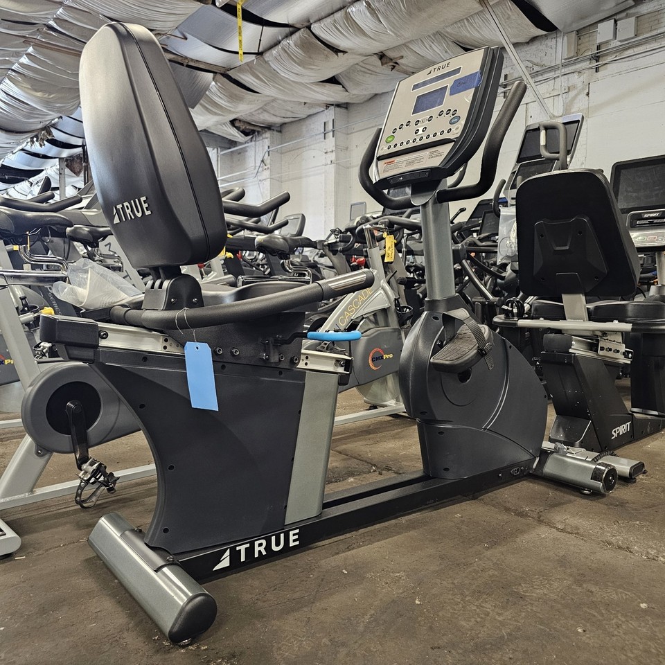 TRUE - CS200 - RECUMBENT BIKE | eBay