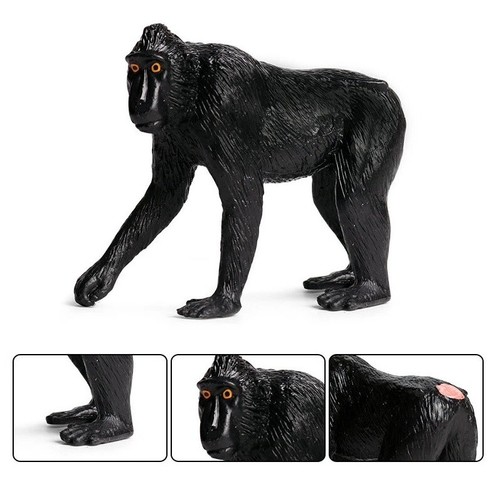 Celebes Crested Macaque Animal Toy PVC Action Figure Kids Toys Party ...