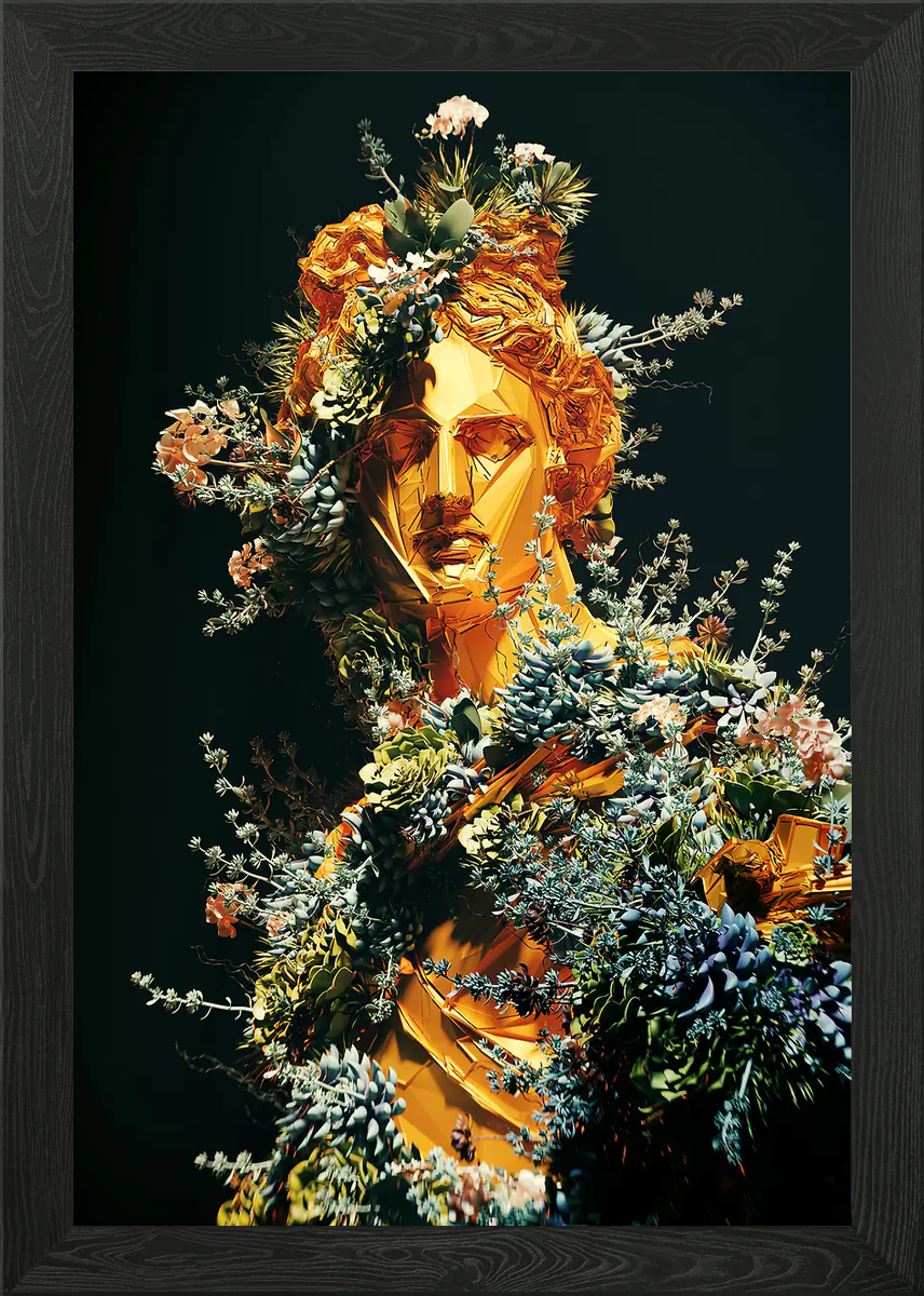 APOLLO Framed Wall Art Poster Canvas Print Picture | eBay UK
