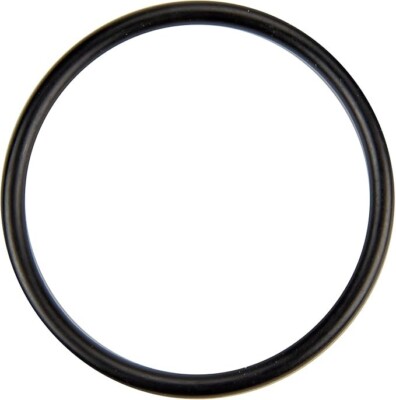 Replacement U9-226 Diffuser Sta-Rite O-Ring for Pool Spa Pump Filter ...