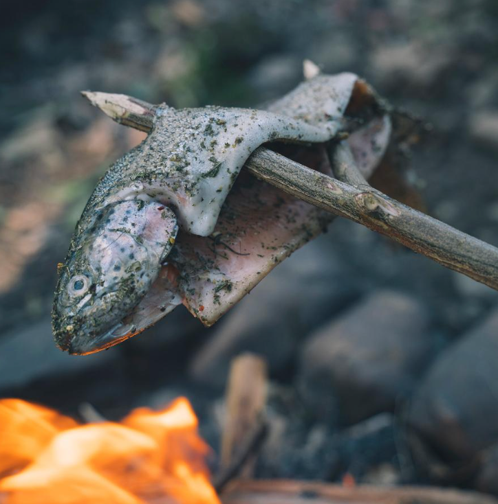 Wild Fire Seasonings And Rubs - Seafood & River Fish | eBay