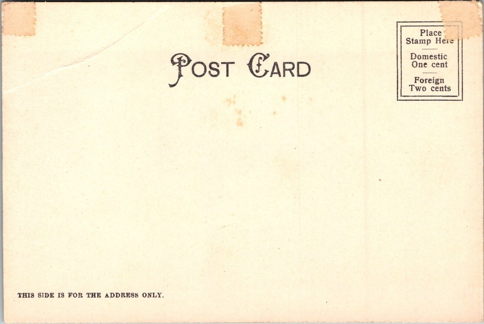 Washington Elm Tree & Church Cambridge MA Unposted Postcard C71 | eBay