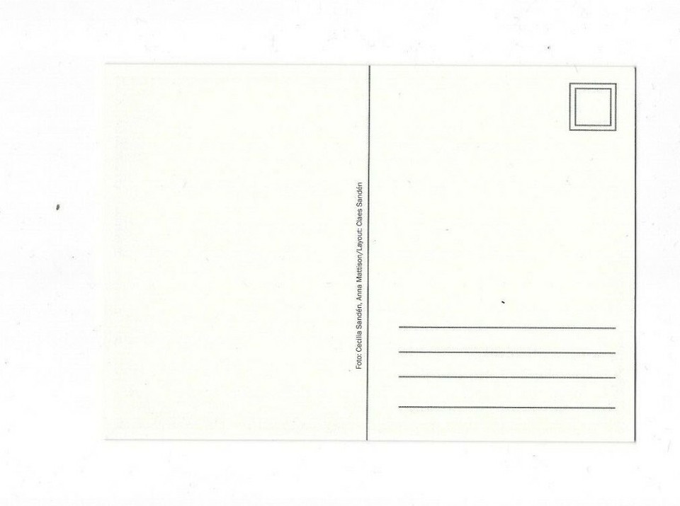 22nd World Scout Jamboree 2011 Troop Scouts Rinkaby Sweden Photograph ...