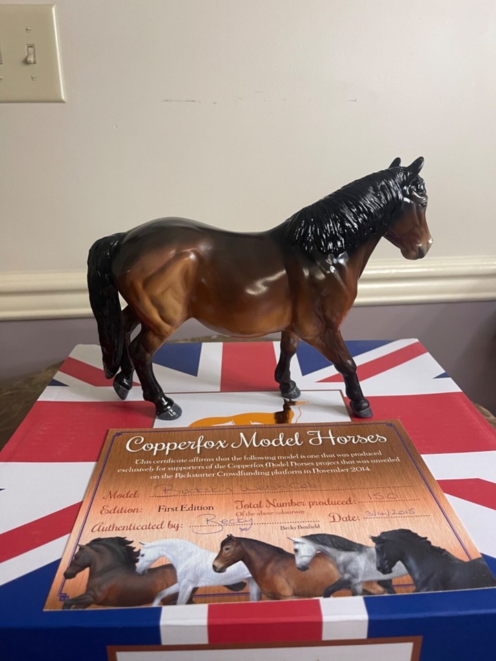 Copperfox Glossy "Trifle" Exmoor Pony Model Horse like Breyer/Peter Stone | eBay