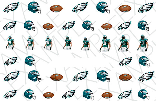Philadelphia Eagles Nail Art Stickers Transfers Decals Set of 42 ...