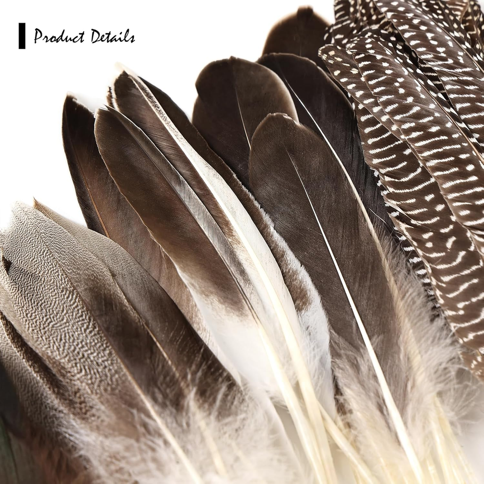60Pcs Natural Pheasant Feathers Bulk Spotted Feathers 6 Styles Mixed ...