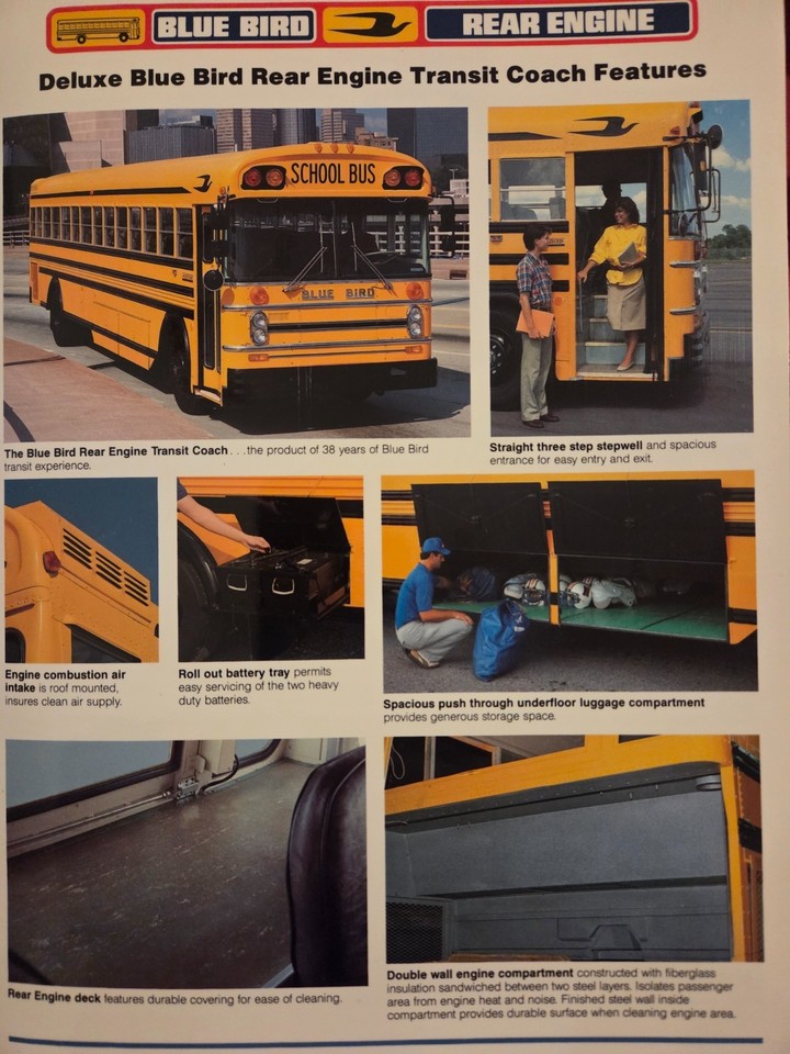 1986 Blue Bird All American School Bus Brochure | eBay