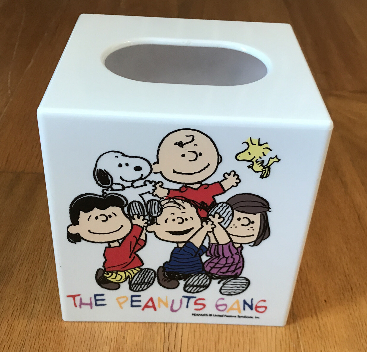 Peanuts Tissue Box Cover The Peanuts Gang Snoopy Charlie Brown | eBay