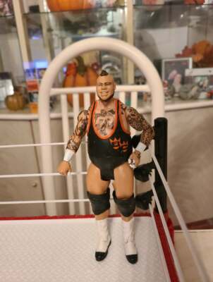 WWE/TNA Mattel Basic Wrestling Action Figure 2011 Funkasaurus Brodus ...