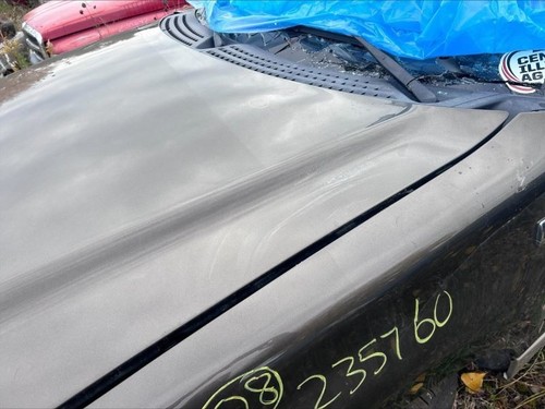 (LOCAL PICKUP ONLY) Hood Fits 04-08 FORD F150 PICKUP 518356 | eBay