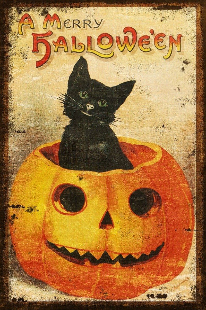 Vintage Halloween Cats These Vintage Halloween Decorations At Amazon
