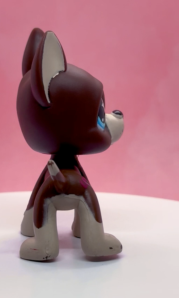 LPS Hasbro Star Eyes Great Dane Ostrich #817 #818 - Authentic Littlest ...