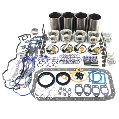 SO5C S05C Engine Overhaul Rebuild Kit For Hino Dutro Truck Car Forklift | eBay Australia