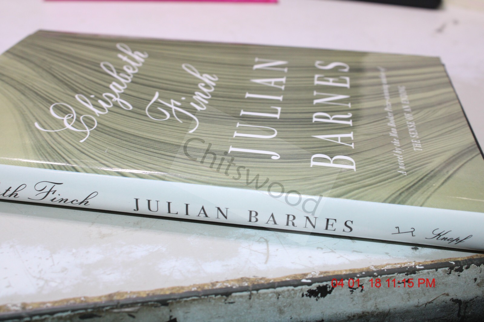 Elizabeth+Finch+%3A+A+Novel+by+Julian+Barnes+%282022%2C+Hardcover%29 ...