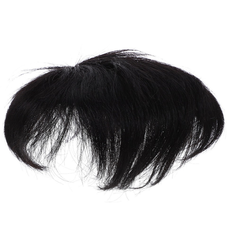 Hair Piece Men Men Human Hair Toupee Fake Hair Pieces Men Wig Short Wig ...