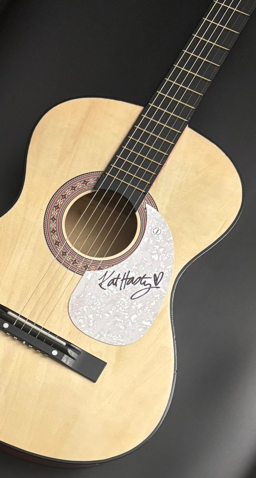 GFA Drowning in Dreams Pretty Things * KAT HASTY * Signed Acoustic ...