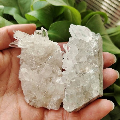 Natural Clear Quartz Crystal Cluster Mineral Rough Druzy Geode ...