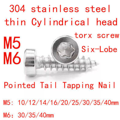M5 M6 SUS304 Six-Lobe Torx Screw Thin Cylindrical Pointed Tail Tapping ...