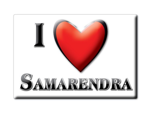 Samarendra Fridge Magnet Name Gift Idea Birthday Graduation Birth | eBay