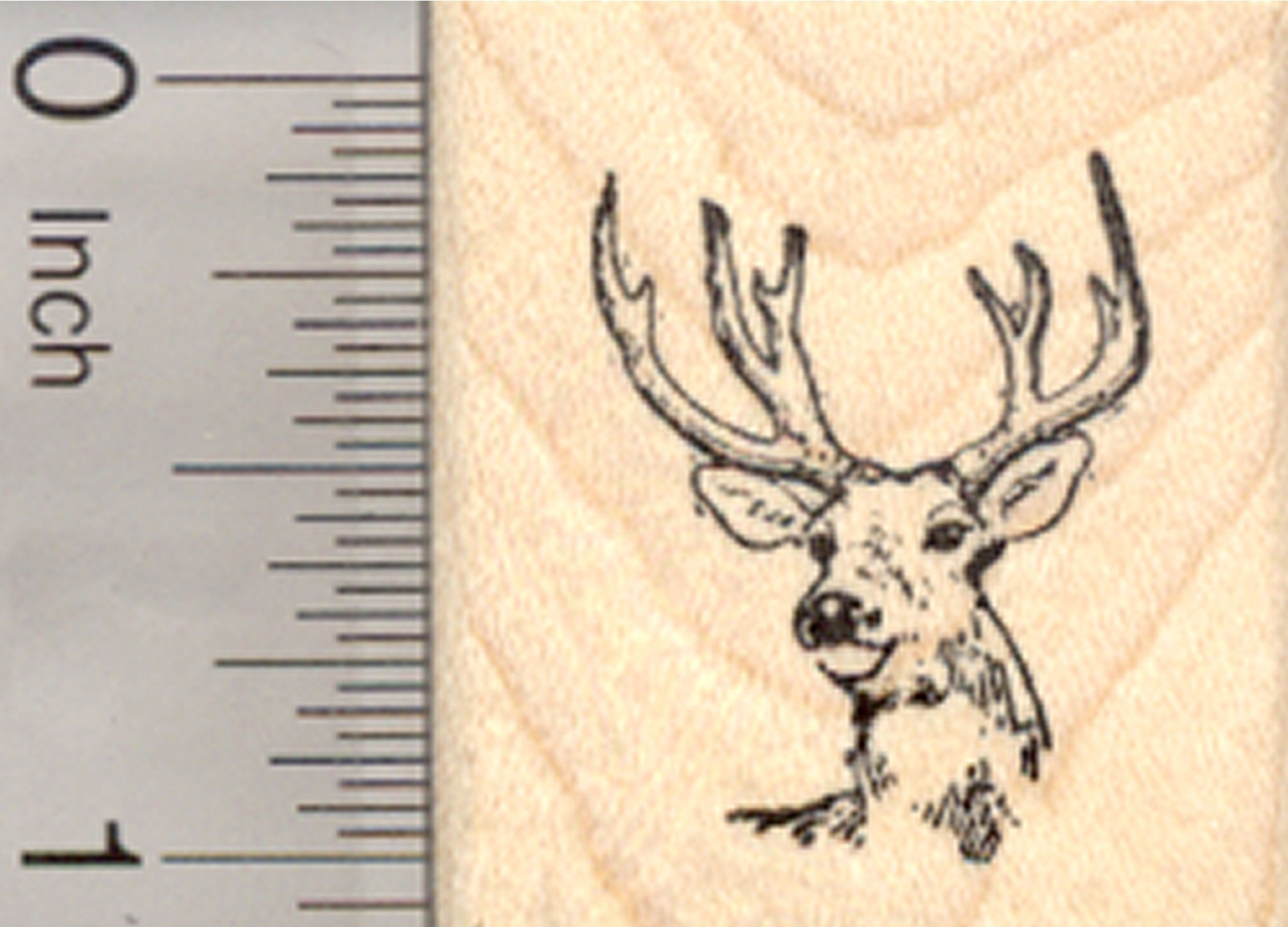 Buck Deer Wildlife Rubber Stamp, Small D25143 WM | eBay