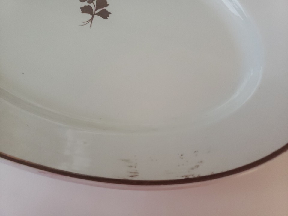 Thomas Furnival & Sons Tea Leaf 15" x 10.5" Oval Serving Platter ...