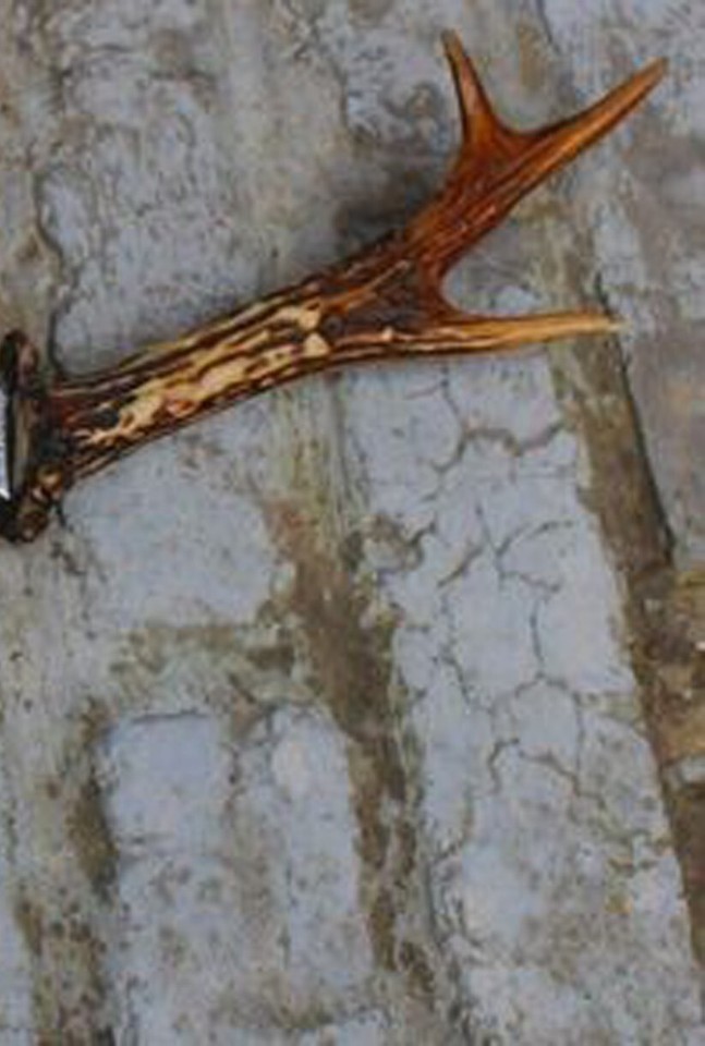 Premium Hand Forged J2 Steel Multitude Rat-Tail Hunting sword Stag ...