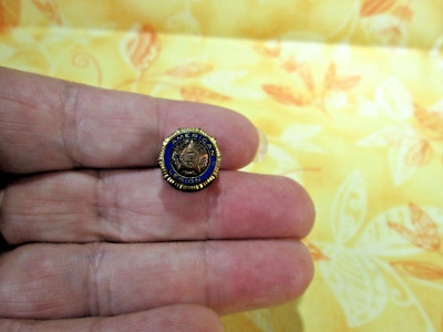 Vintage American Legion Veteran Member Lapel Pin - Screw Back / A | eBay