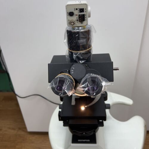 Medical Phase Contrast Microscopes for sale - eBay