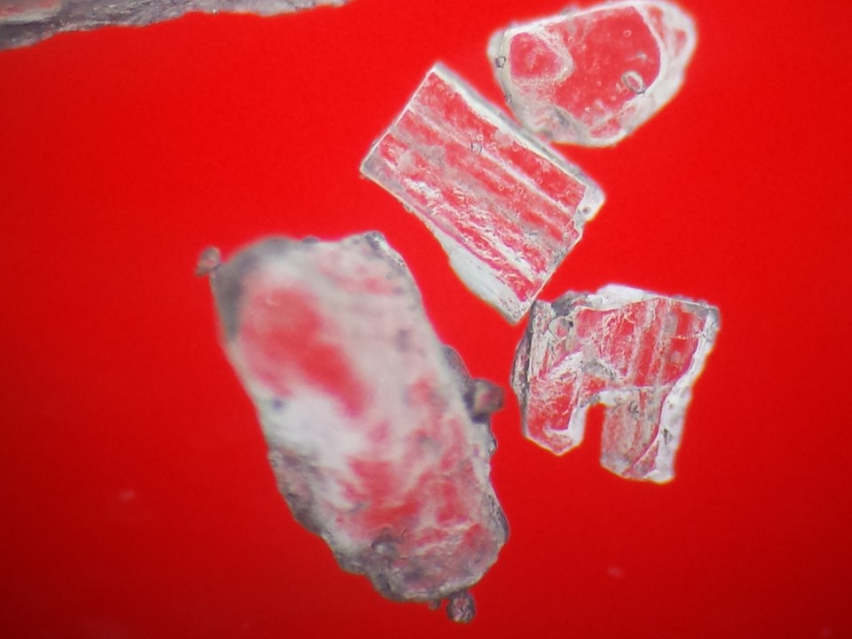 Microscope 32mm Mini-Rheinberg Red Filter Set - Great To Start Or To ...