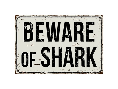 501VS Beware Of Shark 8 "x 12" Vintage Aluminum Retro Metal Sign | eBay