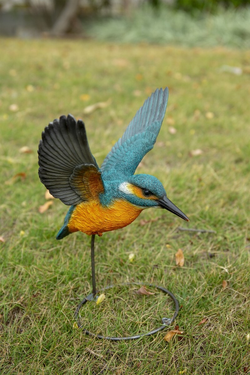 Blue Jay And Cardinal And Oriole
