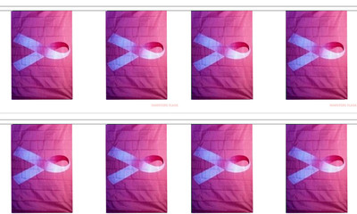 Breast Cancer Pink Ribbon Awareness 12x18 Bunting String Flag Banner (8 ...