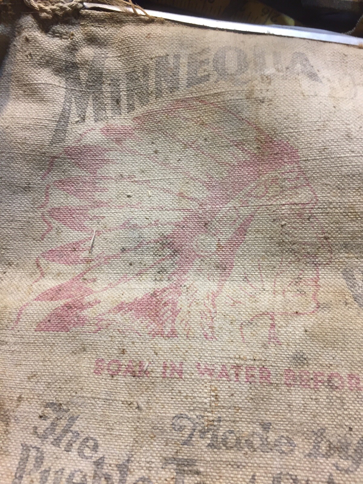 Vintage Minnequa Flax Water Bag Awesome Big Chief Indian Graphic Water ...