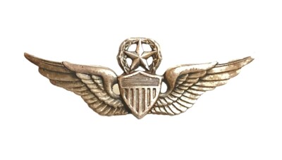 ARMY MASTER AVIATOR WINGS BADGE INSIGNIA FULL SIZE | eBay
