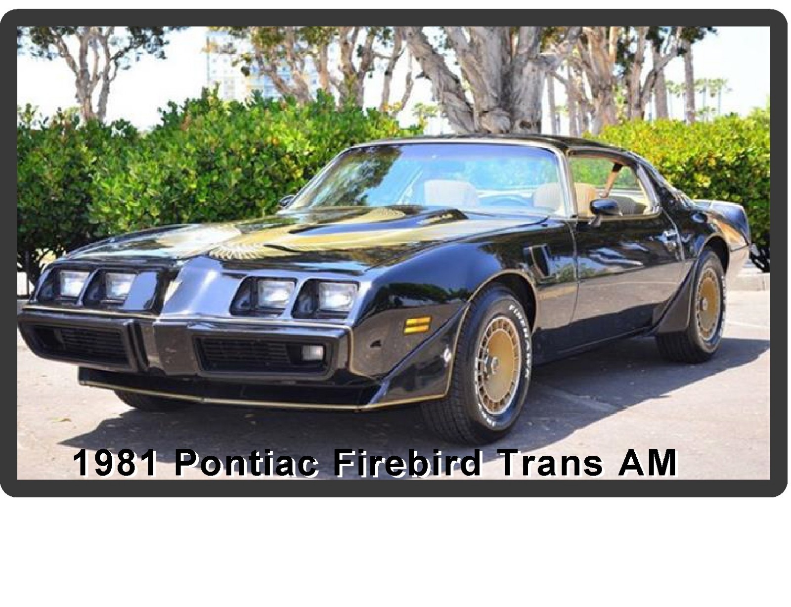 1981 Pontiac Firebird Trans Am Auto Car Refrigerator / Tool Box Magnet ...