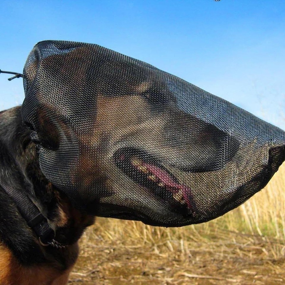 Dog Foxtail Mask Protector Field Net Guard Comfort Mesh for Hiking ...
