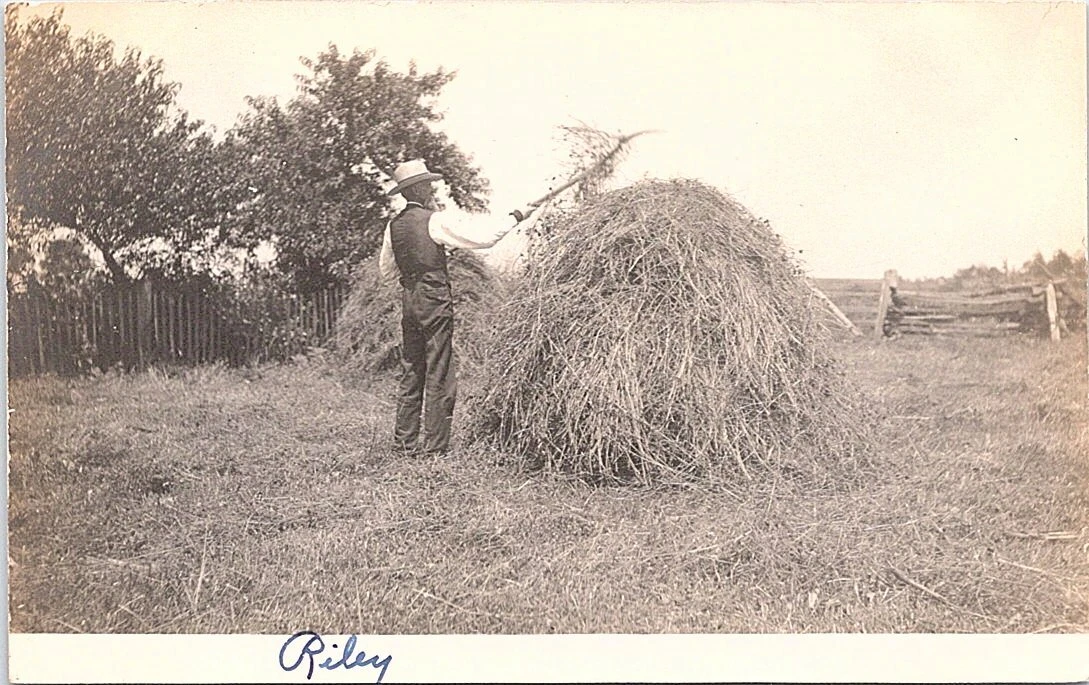 Wheat Farm 1900s