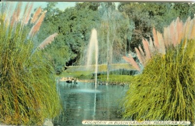 Pasadena CA A Fountain in Busch Gardens 1917 | eBay