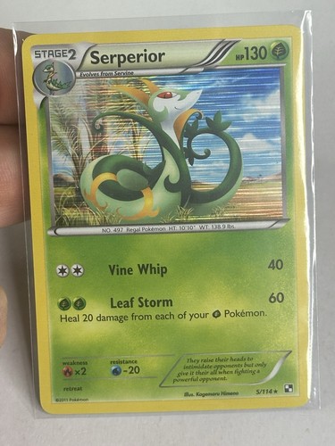 Serperior 5/114 Black & White Holo, Pokemon TCG | eBay