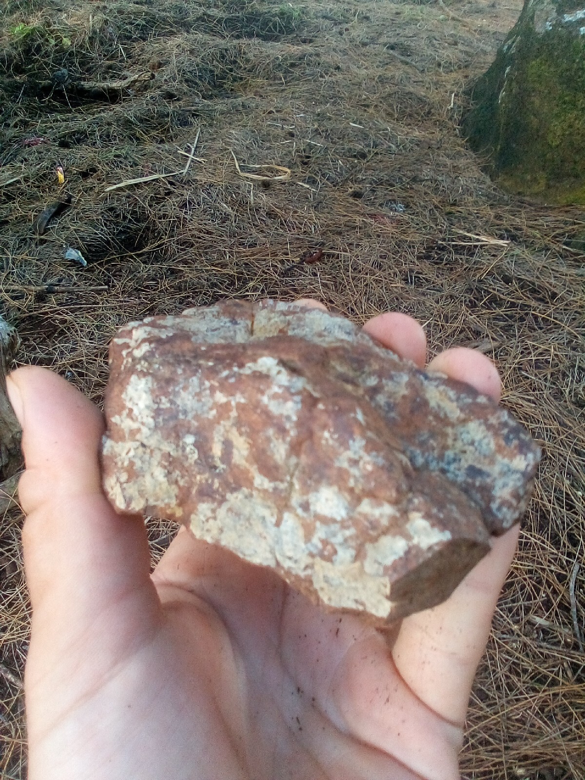 Unclassified Weathered Chondrite | eBay