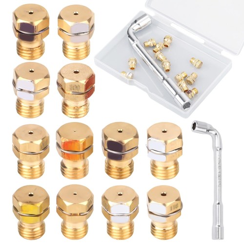 GRLP4 LP Gas Conversion Kit, Brass Gas to Propane Conversion Kit ...