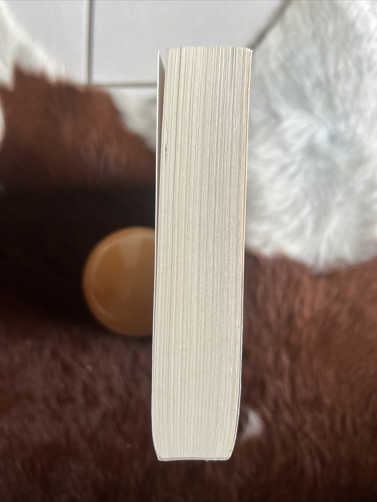 Auschwitz A New History by Laurence Rees | eBay