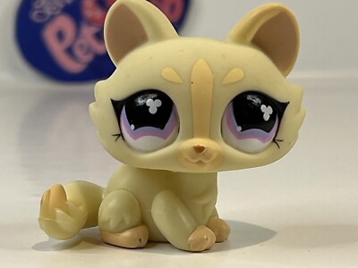 KITTEN CAT #848 - Authentic Littlest Pet Shop - Hasbro LPS | eBay