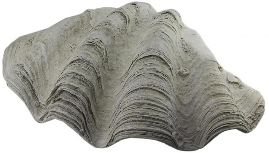 Large Clam Shell Centerpiece Display Tray Nautical Beach Coastal ...