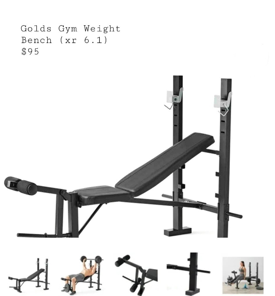 Golds Gym Weight Bench Golds Gym Xr35 Squat Rack And Bench