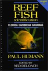 Reef Fish Identification: Florida, Caribbean, Bahamas by Humann, Paul ...